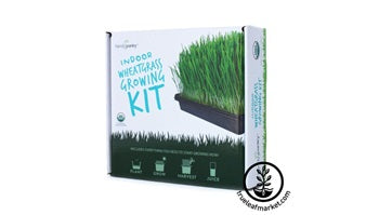Starter Organic Wheatgrass Growing Kit – Moonlight Garden Supply